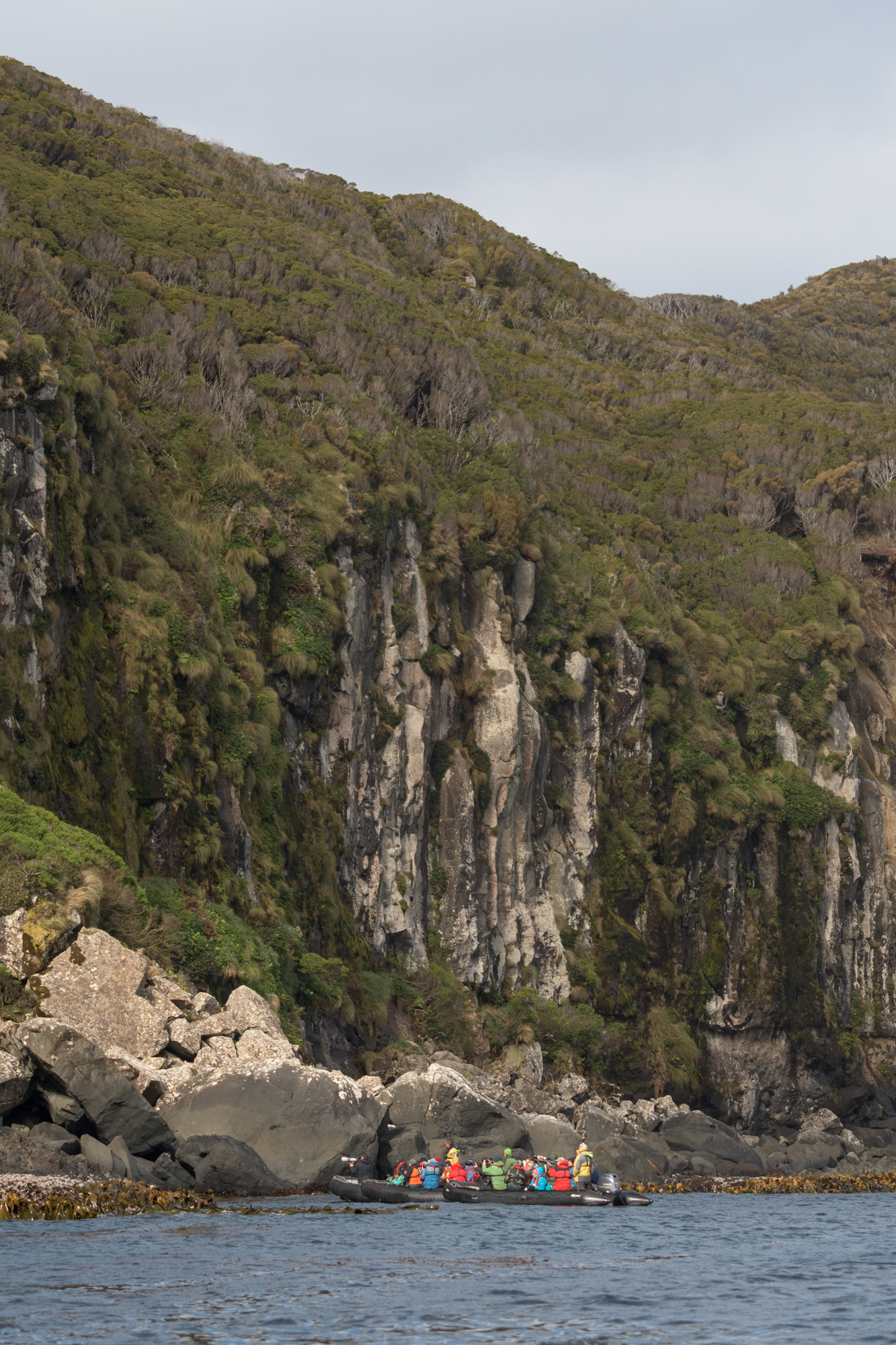 Auckland Island – Leon Berard Photography