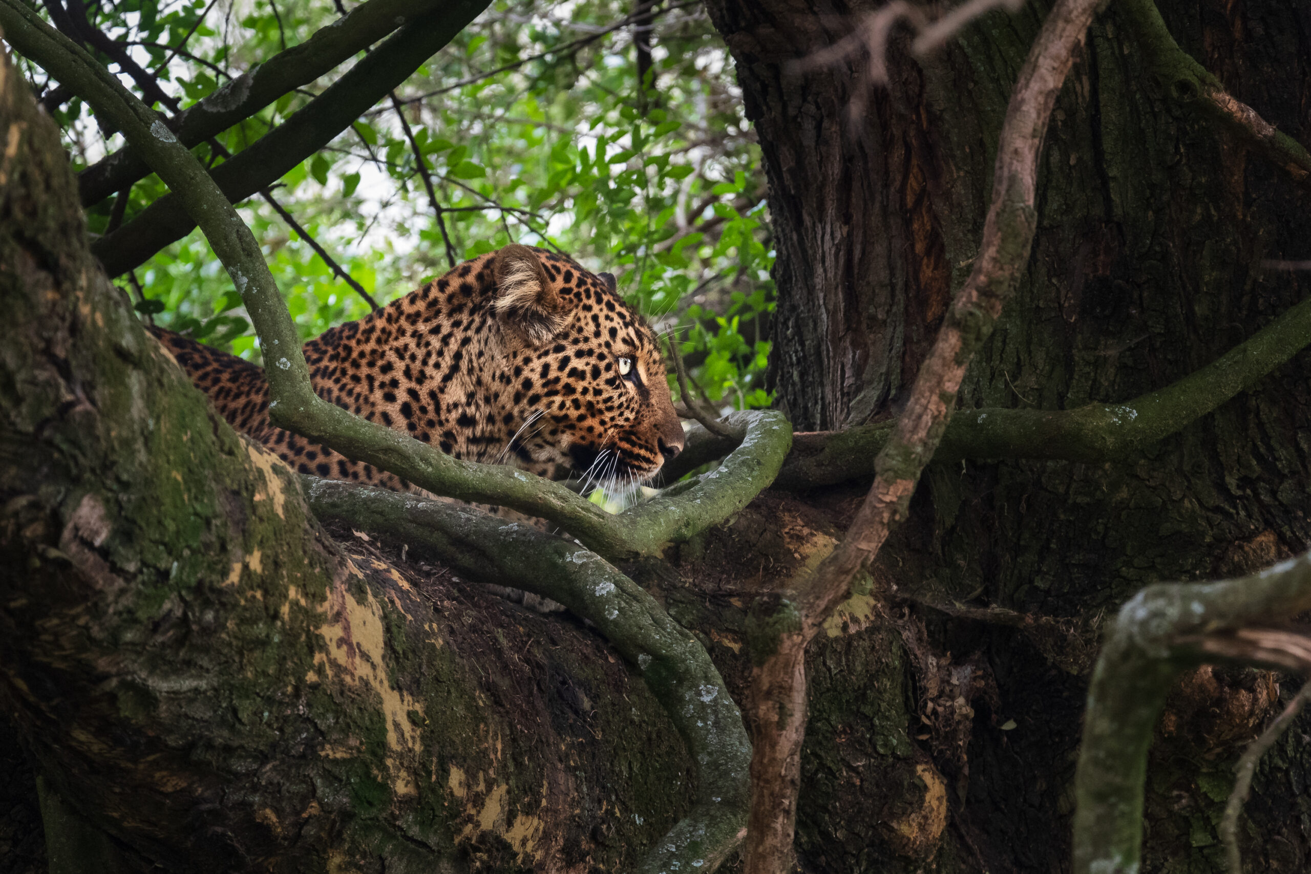 Photographing your African overland trip – Leon Berard Photography