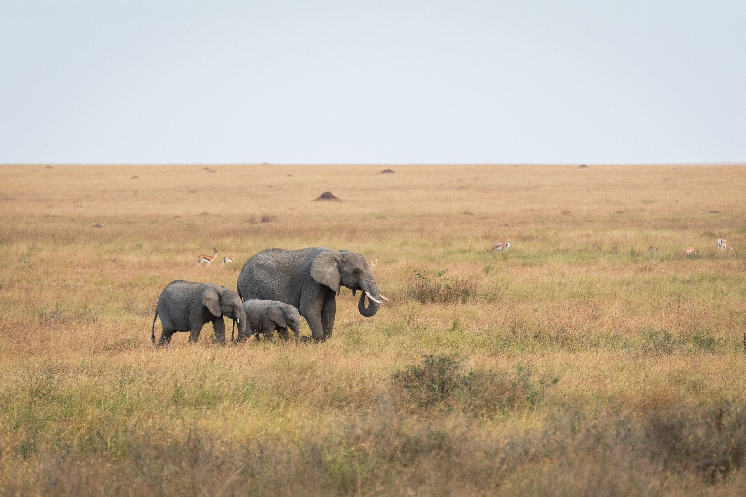 Photographing your African overland trip – Leon Berard Photography