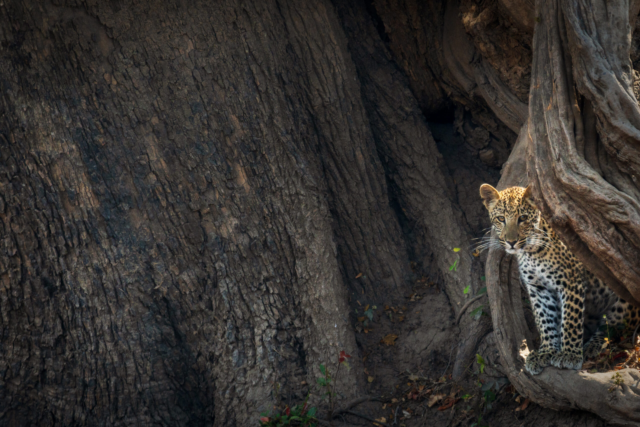 Photographing your African overland trip – Leon Berard Photography