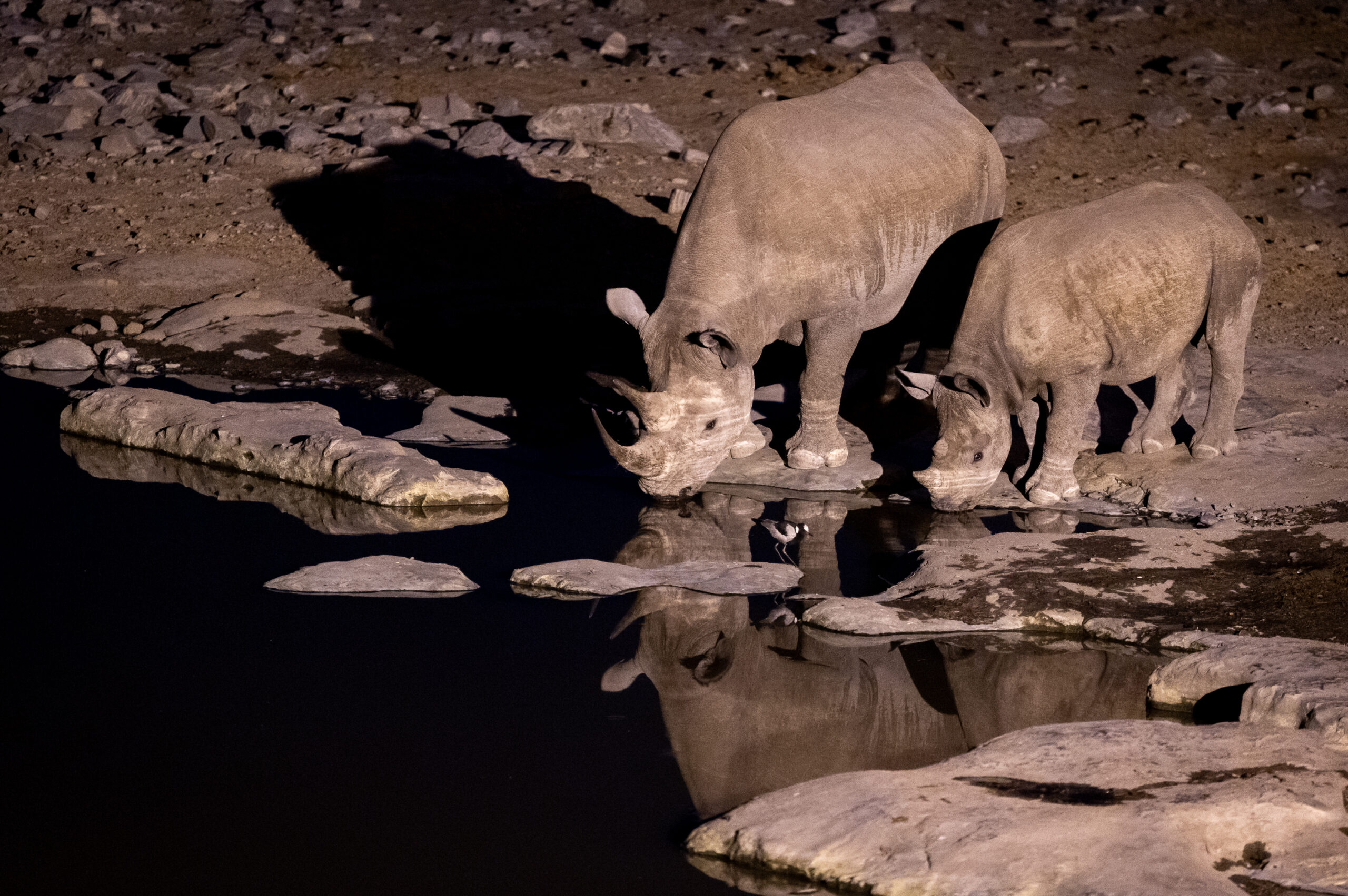 Photographing your African overland trip – Leon Berard Photography